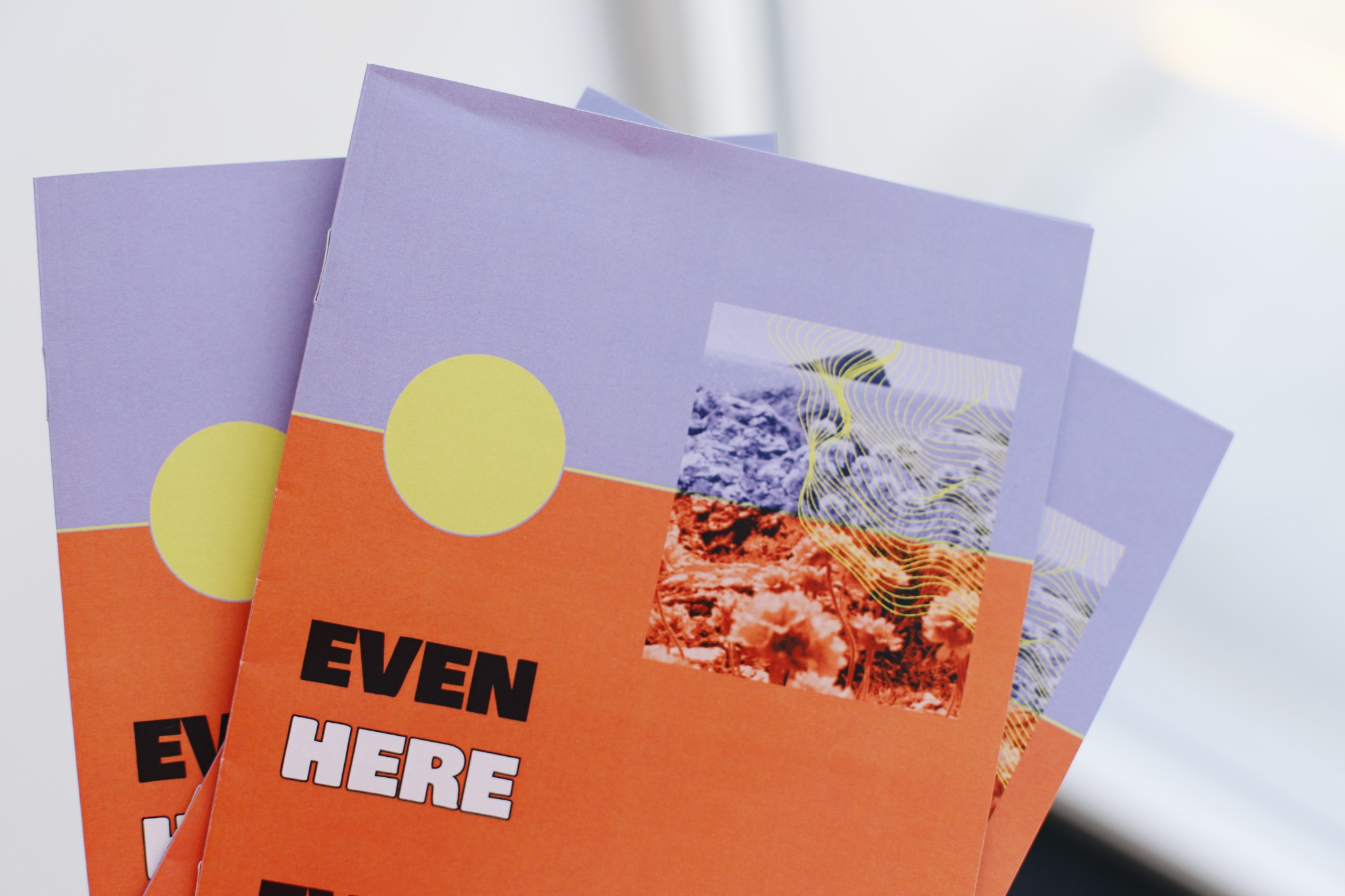 Even Here, Even Now: Meet Our Artist Advocates | Shetland Arts