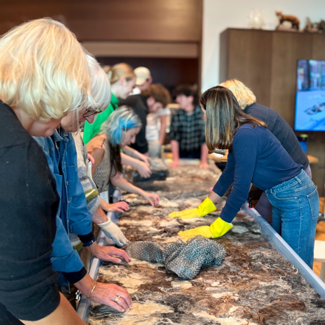 FELT: Hands On with Shetland's Beautiful Variety of Wool Straight From ...