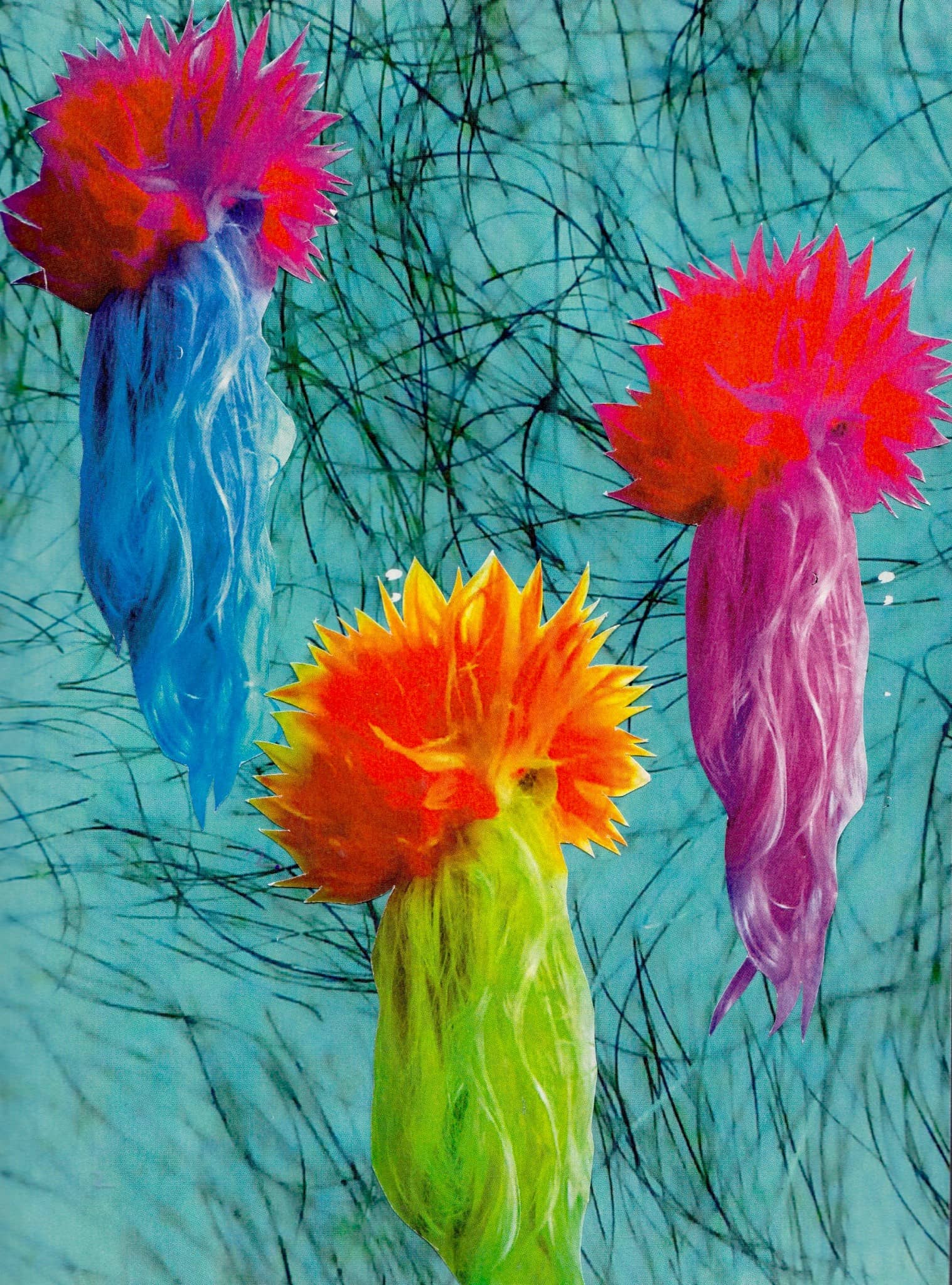 HIDDEN FLOWERS BLOOM MOST BEAUTIFULLY | Shetland Arts